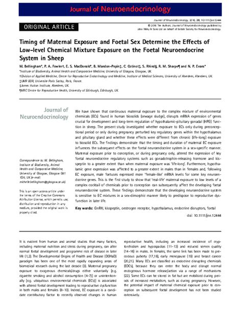 Pdf Timing Of Maternal Exposure And Foetal Sex Determine The Effects