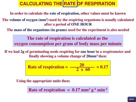 how to calculate oxygen consumption per minute oxygen consumption was