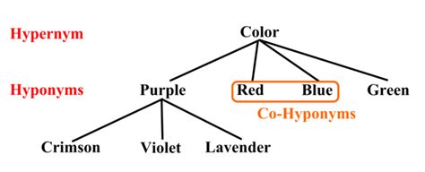A Complete Guide To Using Wordnet In Nlp Applications