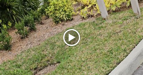 Atlas Collision Sensor Malfunctions Volkswagen Atlas Forum