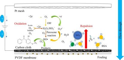 Simultaneous Membrane Fouling Mitigation And Emerging Pollutant