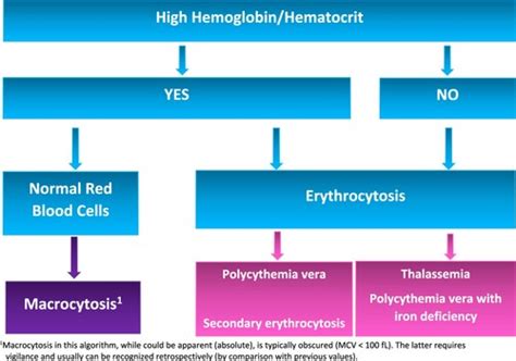 Full Article Mean Corpuscular Volume Hematocrit And Polycythemia