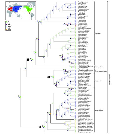 Summary Of The Bayesian Binary Method Bbm And The S Diva Models Of Download Scientific