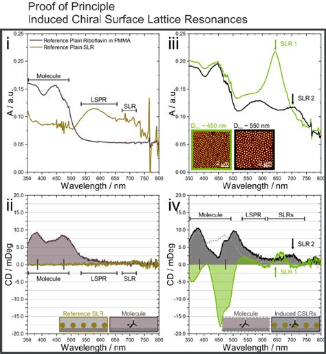 Optical Response To Circularly Polarized Light Of Hexagonal Arrays Of