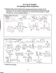 Pre Lab Pdf Course Hero