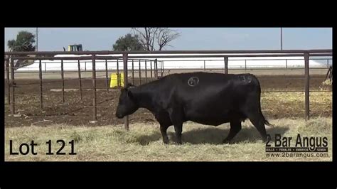 Lot 121 Youtube
