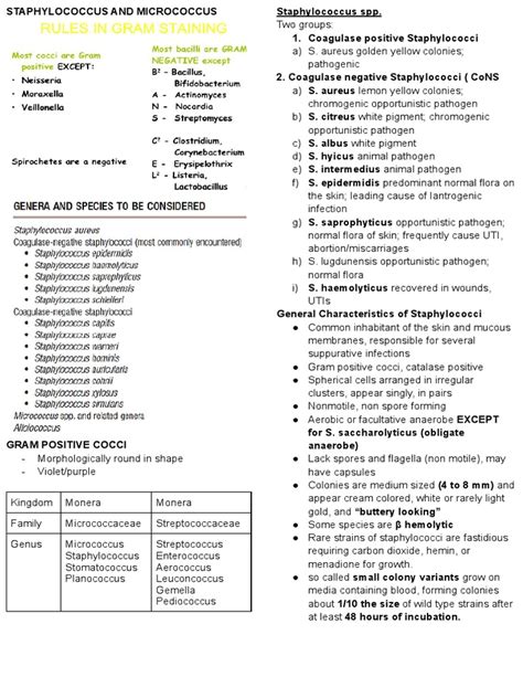 Staphylococcus And Micrococcus Pdf Staphylococcus Staphylococcus