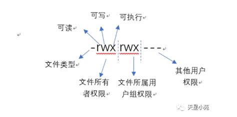 Linux 基础学习文件权限与种类 阿里云开发者社区
