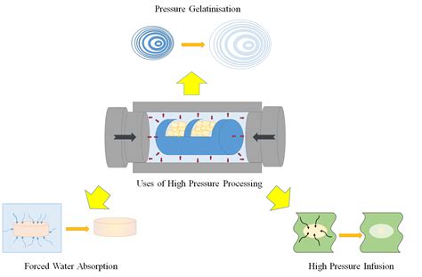 Molecules Free Full Text A Review On The Effect Of High Pressure Processing Hpp On