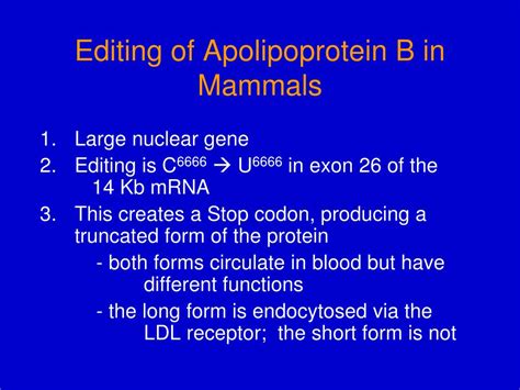 Ppt Rna Editing Powerpoint Presentation Free Download Id781939