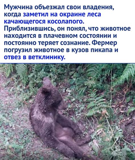 98051 Пряник мемы смешные картинки и веселые посты на любой вкус