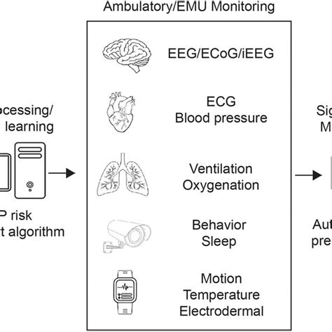 Schematic Workflow Of Automated Sudep Risk Assessment And Prediction Download Scientific Diagram