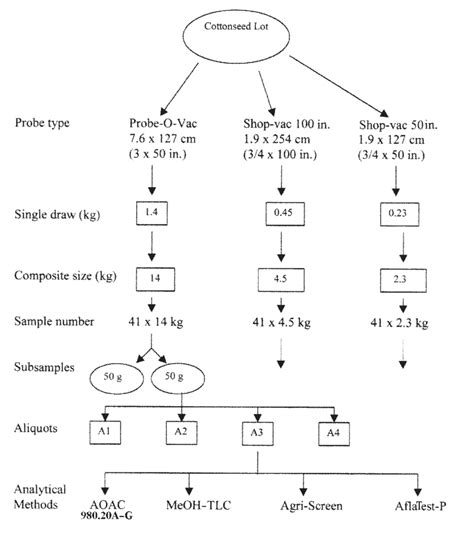 Schematic Representation Of Sampling And Sample Treatment Used In The