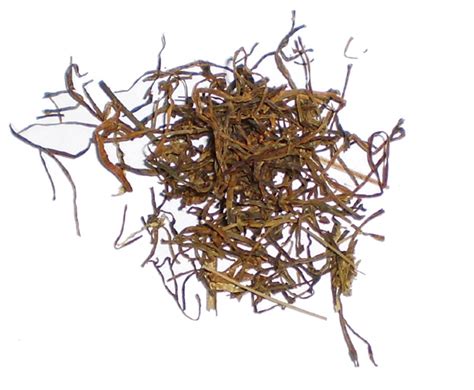 Jimbu Alchetron The Free Social Encyclopedia