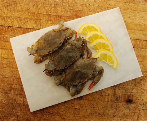 Soft Shell Crab Bryans Market