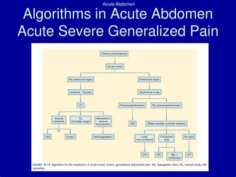 Ppt Acute Abdomen Powerpoint Presentation Free Download Id4298624
