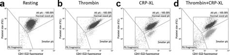 Flow Cytometry Detect Three Differently Sized Platelet Subpopulations