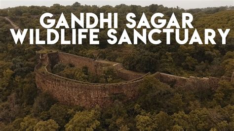 Gandhi Sagar Wildlife Sanctuary