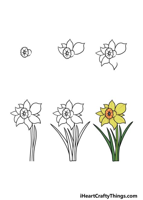 How To Draw A Daffodil Step By Step Easy At Kelly Duppstadt Blog