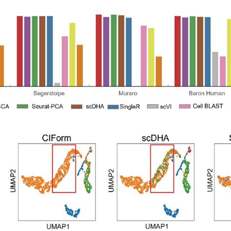 Performance Of Ciform In The Annotation Of The Four Major Pancreatic
