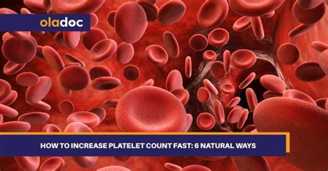 How To Increase Platelet Count Fast 6 Natural Ways