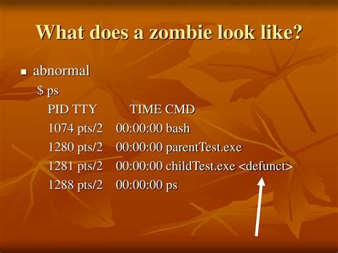 PPT Zombie And Orphan Processes PowerPoint Presentation Free Download ID