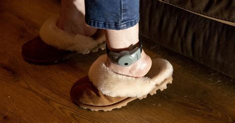 Telefónica hides away from tracking device contract renewal Products Services TelcoTitans com