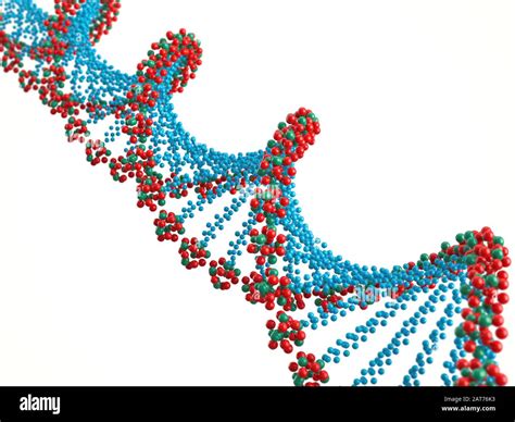 Double Helix DNA Structure Illustration Isolated On White Stock Photo Alamy