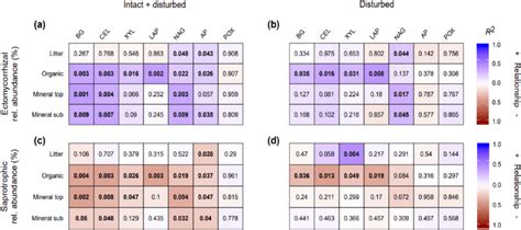 heatmaps of linear regression models between relative abundance of