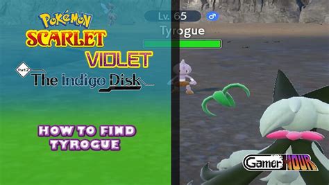 Pokemon Scarlet Violet The Indigo Disk DLC How To Find Tyrogue GamerHour