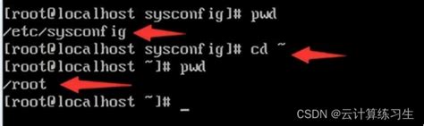 linux基础命令篇：路径切换、文件和目录创建（pwd、cd、mkdir） csdn博客
