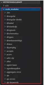 Folder Structure Of Angular Application Dot Net Tutorials