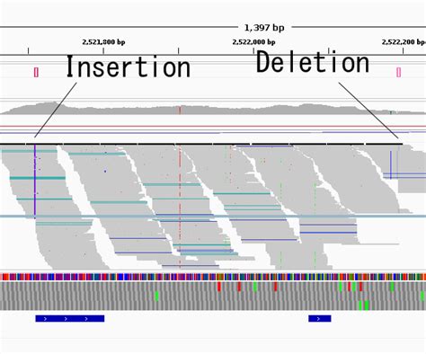 more visible deletion in the bam window · issue 1234 · igvteam igv