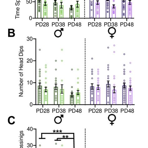 Neural Circuitry Underlying Adolescent Vulnerability To Substance Use Download Scientific