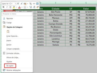 Como Reexibir Linhas Ocultas No Excel Ninja Do Excel