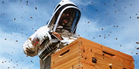 How Do I Prepare My Flow Hive For Winter