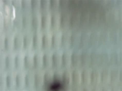 Juara 1 Amin Amin Amin Part 2 Object Detection Dataset And Pre Trained Model By Minta Doa Gaes