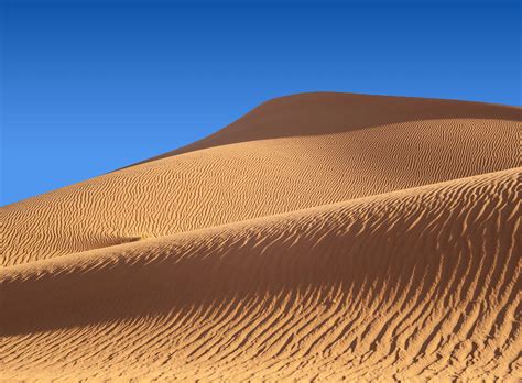 World Heritage Tour Of Algeria With Sahara Desert Bestway Tours Safaris