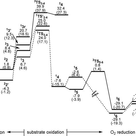 The Calculated Energy Profile Along The Proposed Reaction Pathway For