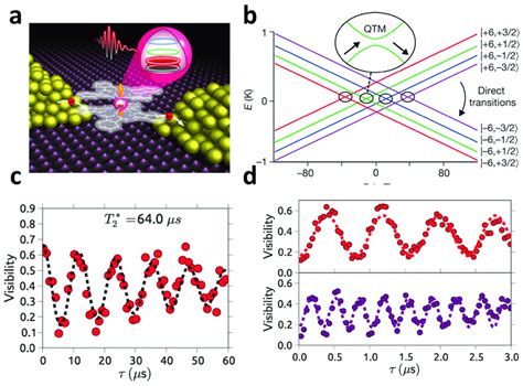 A Artists View Of A Nuclear Spin Qubit Transistor Based On A Single