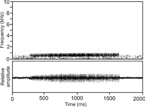 Sonagram And Corresponding Oscillogram Of One Note Of A Call Of Boophis Download Scientific