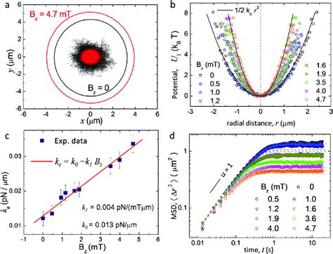 single particle dynamics a two trajectories of one paramagnetic