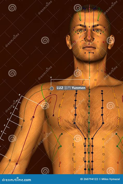 Tekening Acupunctuur Punt Lu2 Yunmen 3d Illustratie Stock Illustratie