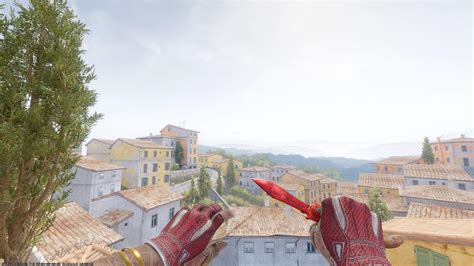 Budget Ruby Knife Glove Combinations In Cs2