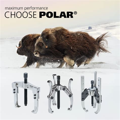 Polar Tools As On Linkedin Polartools Choosepolar Polarpullers