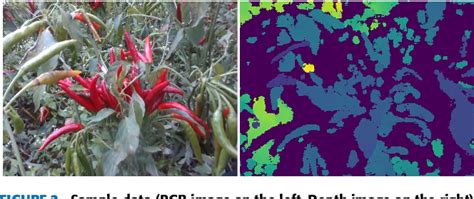 figure 1 from identification and depth localization of clustered pod