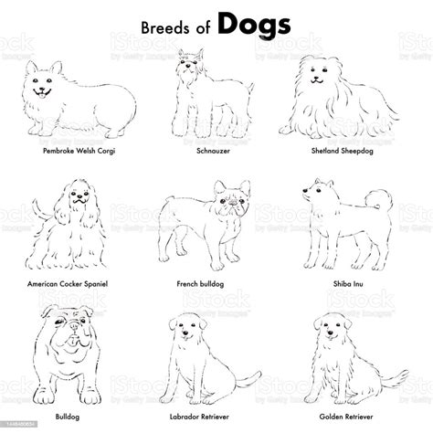 간단하고 귀여운 인기 개 품종 손으로 그린 선 그리기 벡터 일러스트 레이 션 세트 강아지 유치원에 대한 스톡 벡터 아트 및 기타