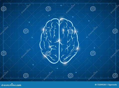 Blueprint Brain Symbol Stock Vector Illustration Of Chemistry 73209530