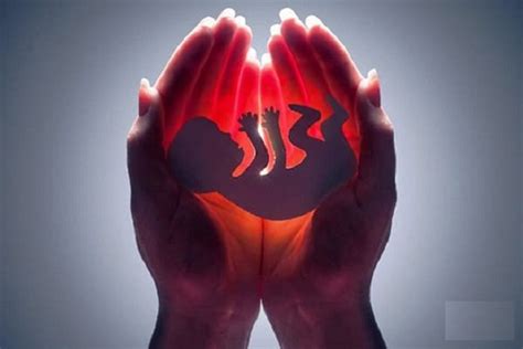 C Ch T Nh Sinh Con Trai Hay G I Theo Tu I M Ch Nh X C Nh T