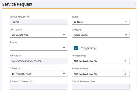 Service Request Panel Fields